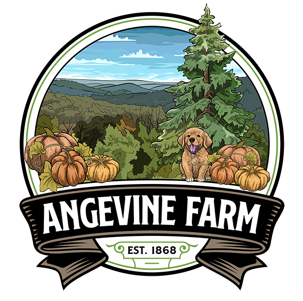 Angevine Farm – Memories Grown Here