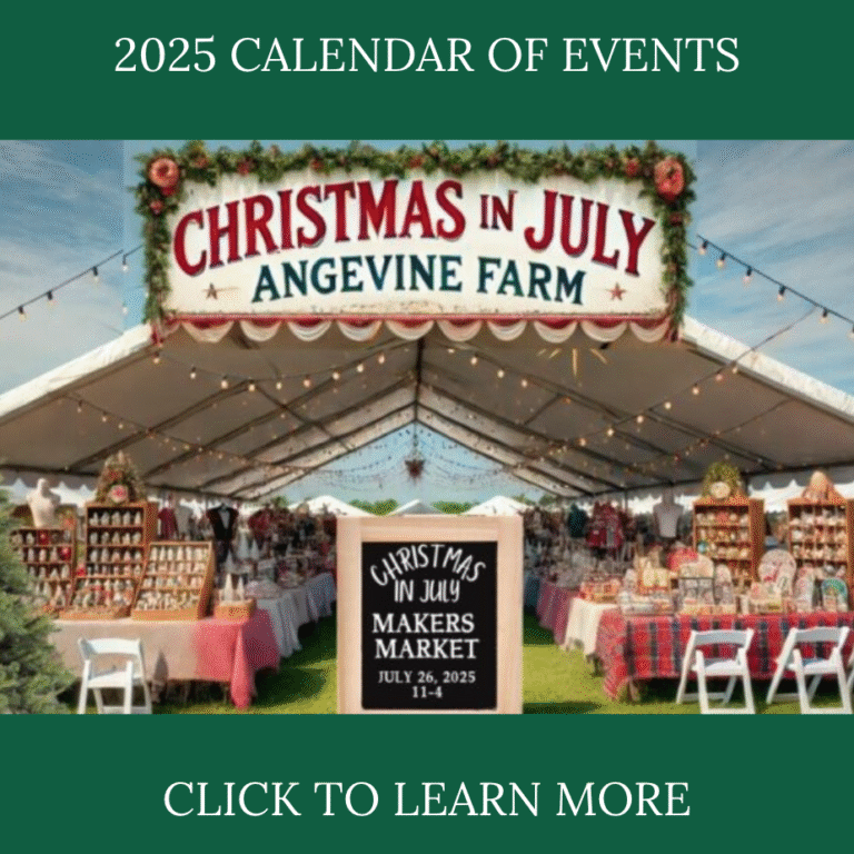 Home - Angevine Farm